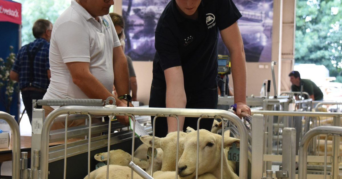 Next Generation Shepherd
