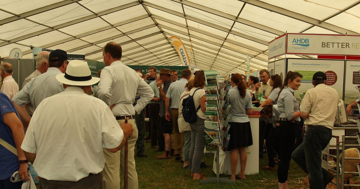 Trade Exhibitors